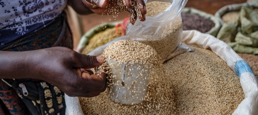 IPPC - International Plant Protection Convention